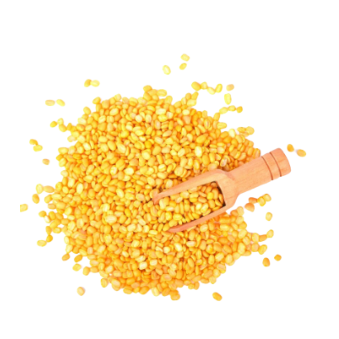 Corn Germ Manufacturer in India | Premium Quality Corn Germ Suppliers